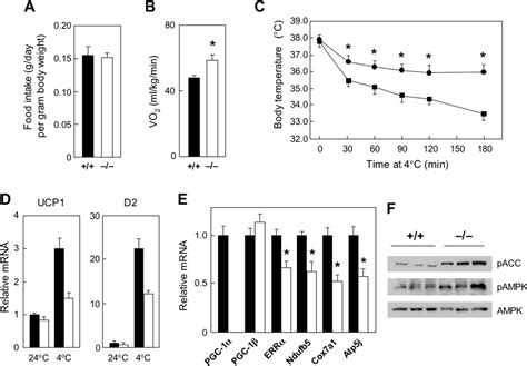 Ppargc1a Gene Semantic Scholar
