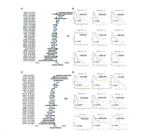 Correlation Of Cd161 Expression With Os In 33 Types Of Cancer A