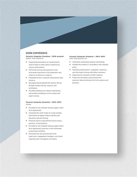 Forensic Computer Examiner Resume In Pages Word Download
