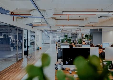 About Us Codelink
