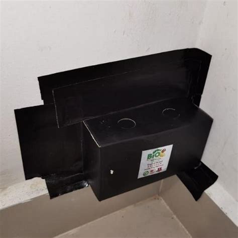 Termite Control Malaysia Best Treatment And Exterminator 2025