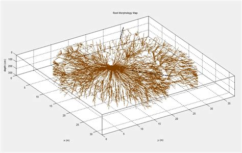 TreeRadar Uk Tree Radar Tree Radar Treeradar Tree Roots
