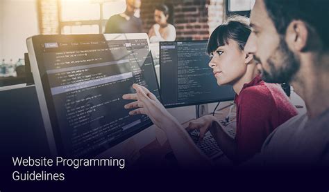milestone s top 10 website programming guidelines