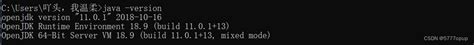 Openjdk11的安装及配置 Csdn博客