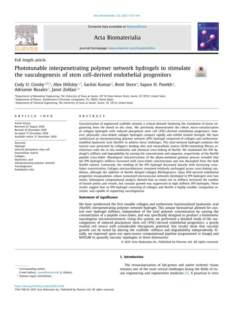 Pdf Phototunable Interpenetrating Polymer Network Hydrogels To Stimulate The Vasculogenesis Of