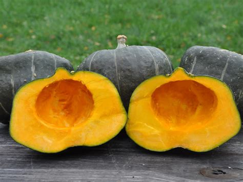 How To Cook Buttercup Squash Simple And Easy To Do