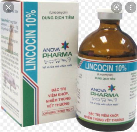 Lincocin Giá Rẻ Tháng 2 2024 Biggo Việt Nam