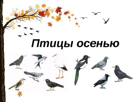 Перелетные птицы картинки для детей в детском саду