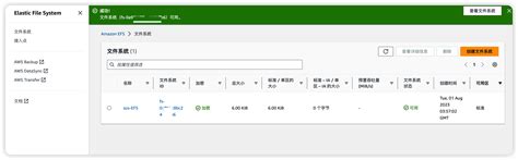 aws——02篇（aws之服务存储efs在amazon ec2上的挂载——针对ec2进行托管文件存储） aws efs csdn博客