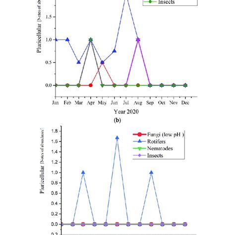 Lorentz JÄntschi Professor Professor Universitatea Tehnica Cluj