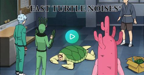 The Fastest Turtle Album On Imgur