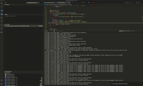 Hyperledger Fabric How To Debug Chaincode With Ibm Blockchain