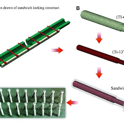 Structure Schematic Diagram Of The Optimized Finite Element Model Of Download Scientific