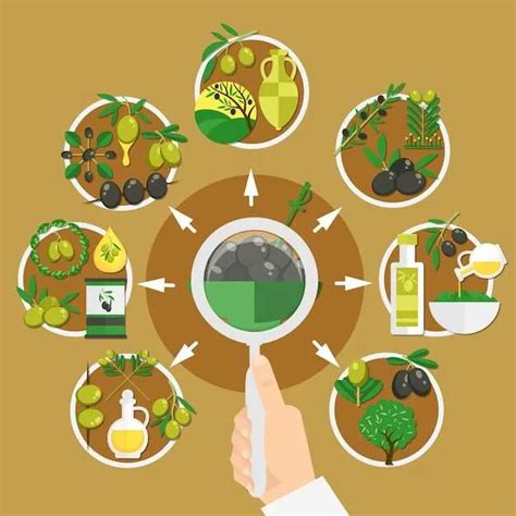 Master The Red Green Refactor Cycle In Tdd For Effective Development