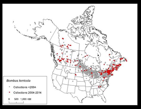 Cosewic Assessment And Status Report On The Yellow Banded Bumble Bee