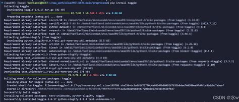 使用kaggle命令下载数据集 kaggle数据集下载 csdn博客