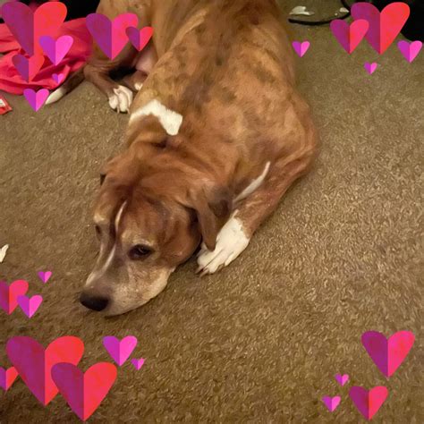 Alexa Had A Hit And Run Incident James Jr And Jimmy Show Facebook