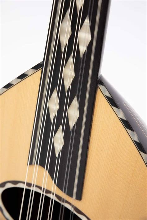 Ethnic Musical Egyptian Oud Classic Black Stringed Instrument Aoud Ud With Soft Case And Picks