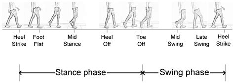 Stride Counting In Human Walking And Walking Distance Estimation Using Insole Sensors