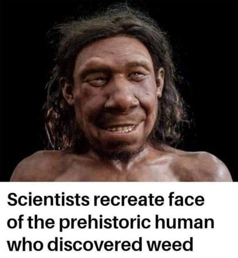 Pin On Lolol 🤣🤣🤣 Scientist Face Bones Funny