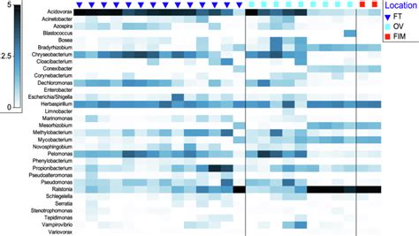 Distribution Of Differentially Abundant Genus Level Microbiota In Upper Download Scientific