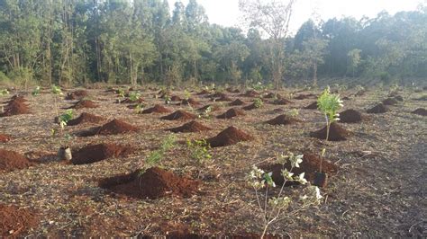 Candy Elsa Candyelsa2 Twitter Candy Elsa Candyelsa2 Twitter