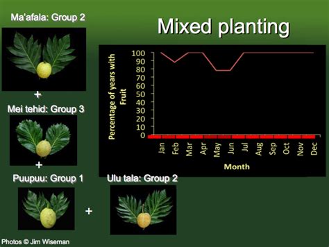 Phenological Diversity For Nutrition Agricultural Biodiversity Weblog