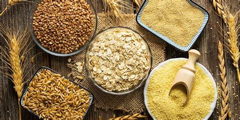 Goodness Of Grains Wheat Corn Rice Oats Kelloggs Tr