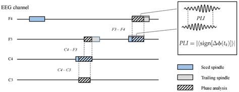 A Schematic Picture Of Parametrizing Inter Spindle Synchrony Seed Download Scientific Diagram