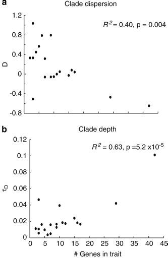 Role Of Complexity On Phylogenetic Dispersion And τd A Relationship