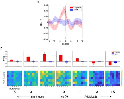 Temporal Dynamics Of Infant Adult Coupling In The Prefrontal Cortex Download Scientific Diagram