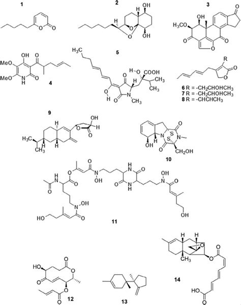 Trichoderma Spp Approach For Bio Control Agent Intechopen
