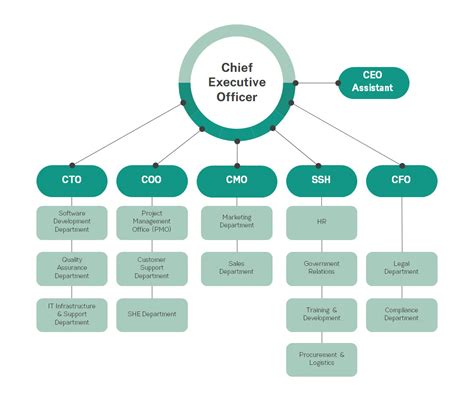 Organization Structure Alsabaa Alarabia