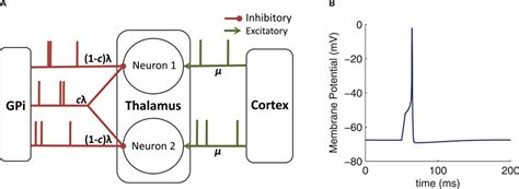 Model Schematic And Basic Behavior A Diagram Of The Connectivity And Download Scientific