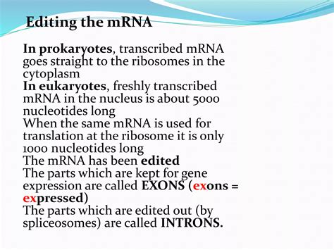 gene prediction and expression pptx programming languages computing