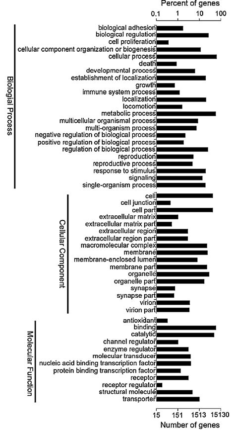 Gene Function Classification Gene Ontology Or Go Terms For Unigenes