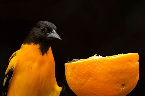 Josh Burch Photography This Is The Start Of An Ongoing Project That I Will Be Starting On