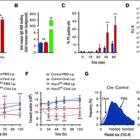 Marked Microthrombocytopenia In Arpc2 Fl Fl Pf4 Cre Mice A Schematic