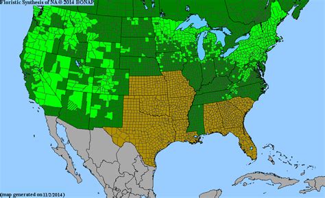 2013 BONAP North American Plant Atlas TaxonMaps
