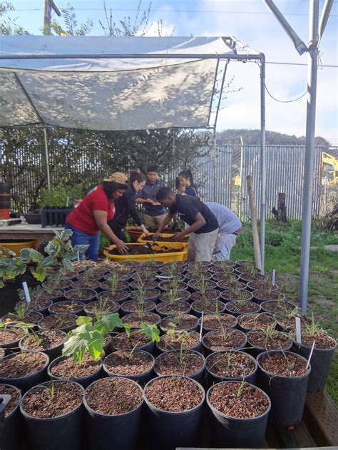 Analyzing Quantitative Data — Learning For Action