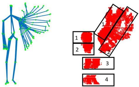 Superposition Of Skeleton Points And 3d Point Clouds Download