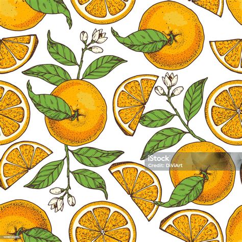 오렌지 과일 손으로 그린 디자인입니다 원활한 패턴 벡터 그림입니다 디자인 패키지 브로셔 일러스트레이션 오렌지 과일 배경입니다 포장 디자인과 다른 사람을 위한 디자인 감귤에