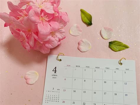 2025年4月～6月の予定 マスラボ