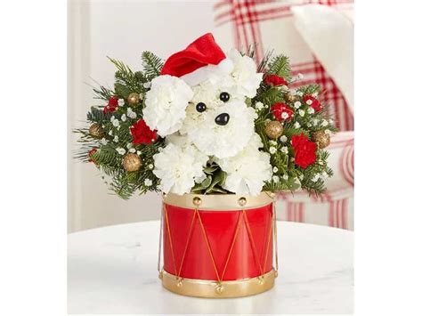 Santa Paws The Corner Flower Venue