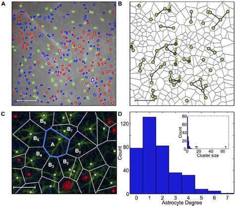 Inference Of Model Networks From Experimental Data A The