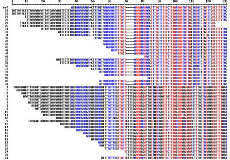 how does bismark call methylation from bam files · issue 193