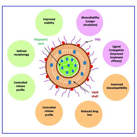 Main Advantages Associated With The Individual Components Polymeric Download Scientific