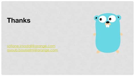 Golang Skills Pre Session Ppt