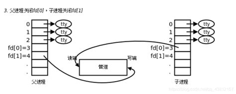 Pipe和fork浅析fork Pipe Csdn博客