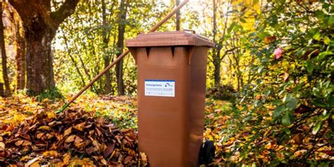 Laub So Entsorgen Sie Es Richtig Jack News